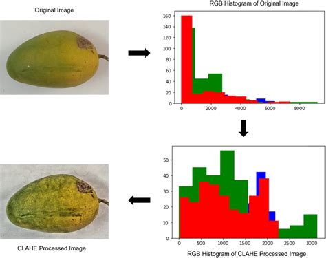 fruitvision a deep learning based automatic fruit grading system