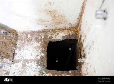 The Hole In Joaquin El Chapo Guzmans Cell Which He Used To Escape