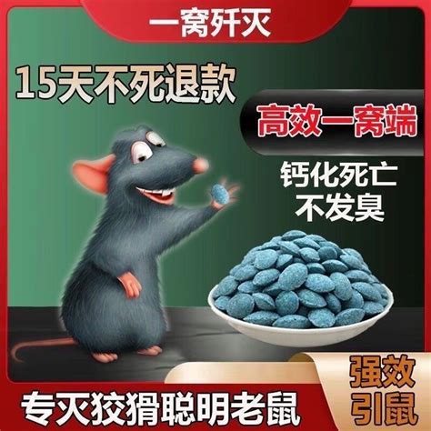 【老鼠藥強效】壹窩端滅鼠神器室內新型滅鼠顆粒加強版誘鼠餌料 露天市集 全台最大的網路購物市集