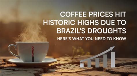 Coffee Prices Reach Historic Highs Here What You Need To Know Kimbo