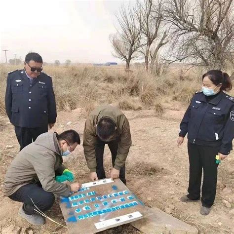 阿尔巴斯苏木多措并举开展赛乌素地下水超采区治理工作嘎查农牧民种植