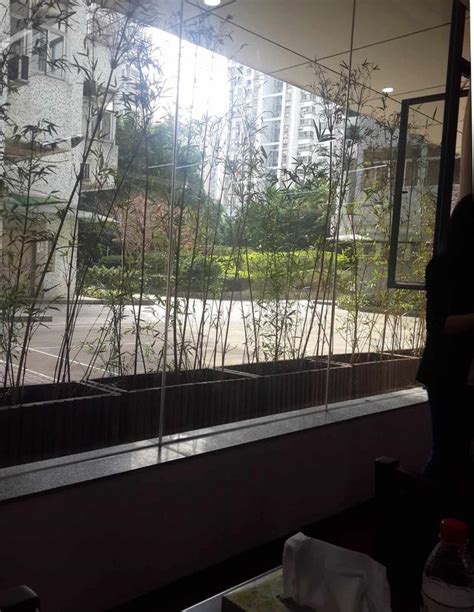 文學進入新時代 每日頭條