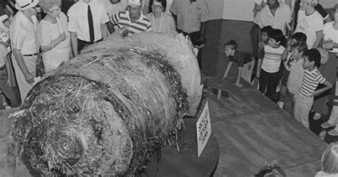 El Día Que La Ciencia Ficción Se Convirtió En Realidad A 45 Años De La Caída De La Estación