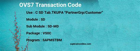 OVS SAP Tcode For C SD Tab TKUPA PartnerGrp Customer