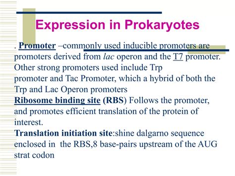 expression system final pptx