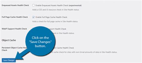 How To Use Performance Lab In Wordpress And Why