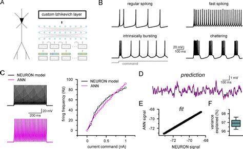 Figures And Data In Ultrafast Simulation Of Large Scale Neocortical Microcircuitry With