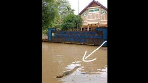 Heboh Buaya Muncul Di Kompleks Perkantoran Saat Banjir Di Tamiang