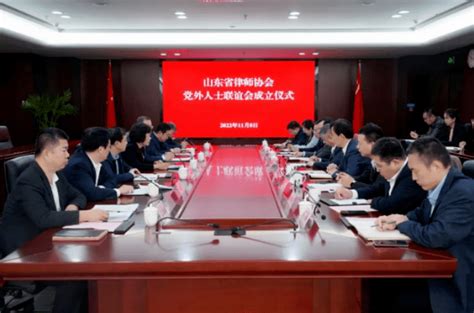 山东省律师协会党外人士联谊会成立行业发展政治