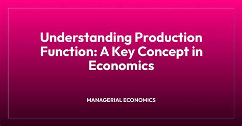 Understanding Production Function A Key Concept In Economics • Slm Self Learning Material For Mba