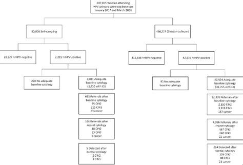 Flowchart Of Women Attending National Hpv Primary Screening In The