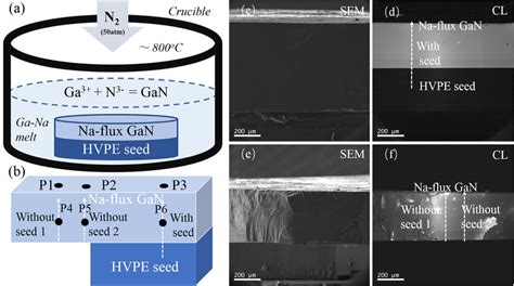 Color Online A Schematic Diagram Of The Principle Of Lpe Growth Of Download Scientific