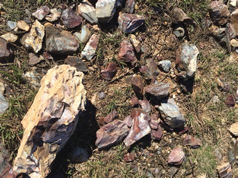 Alibates Flint Exposed Near One Of The Approximately 700 Quarry Pits