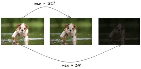 Algorithms For Image Comparison Baeldung On Computer Science