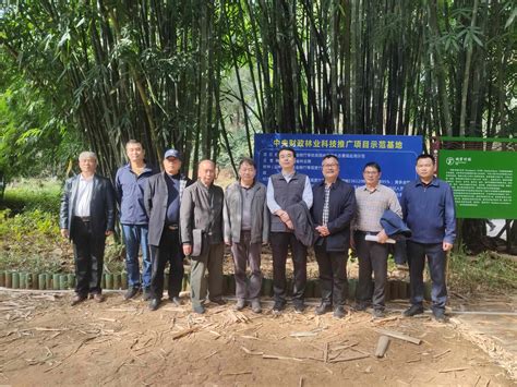 园花卉所承担中央财政林业科技推广项目通过现场查定 湖南省植物园湖南省森林植物园濒危植物植物保护森林公园生态旅游 湖南省植物园官网