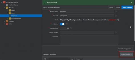 cómo crear un api restful en oracle apex que nos devuelva una imagen en