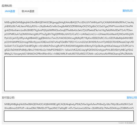 2024年最新版 Springbootvue整合支付宝沙箱支付功能，一步一步带您实现完整的支付宝支付功能spring Boot