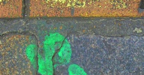 Miles Of Trane Com Truise New Release Cyanide Sisters Ep