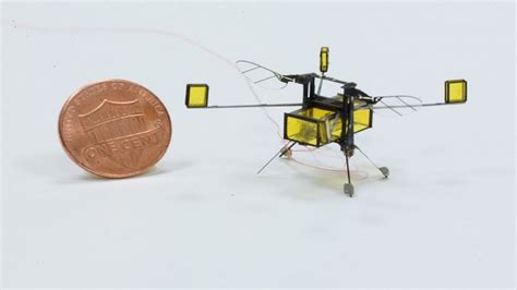 Robobees