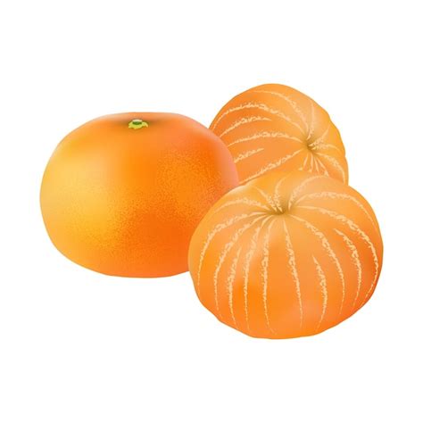 Premium Vector Realistic Tangerine