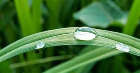 우리교회 주님 믿었던 사람이 두렵고 낯설게 느껴질 때 생각의 감옥에 갇혀있지나 않았나 돌아보게 하시고