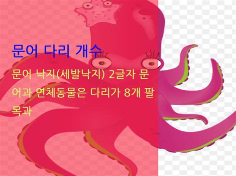 오징어 또는 문어 다리 개수 아이들에 질문에 당황하지 말아요 네이버 블로그