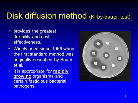 Disk Diffusion Kirby Bauer Method At Michael Purdy Blog