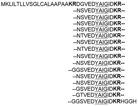 Sequence Of Usta From Aspergillus Flavus Kr Motifs To Be Recognized By