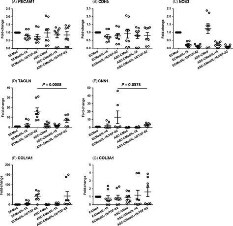 Gene Expression Mrna Of Endothelial Markers A Pecam1 B Cdh5 And C