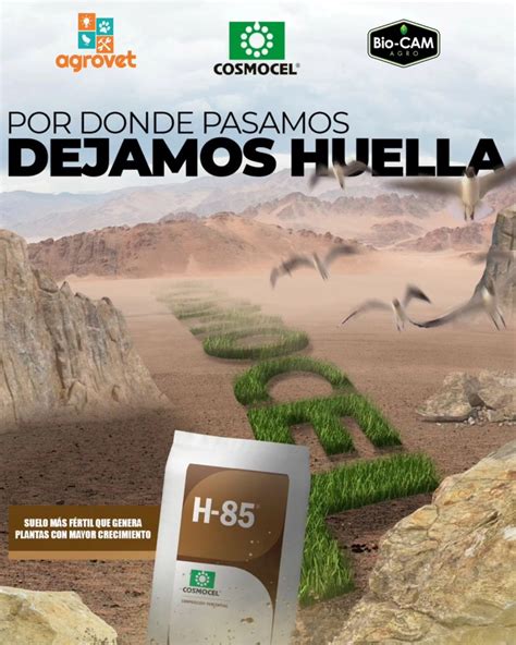 Agroveterinar Agroveterinaria Y Ferreteria Bocas Del Toro