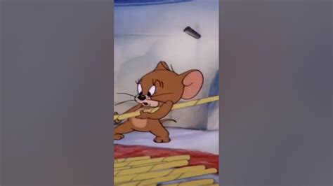 توم اند جيري حلقه 1 Youtube