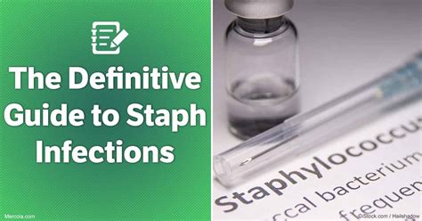 The Definitive Guide To Staph Infections