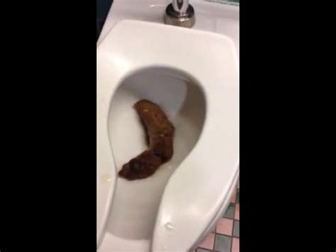 Quite Possibly The Biggest Turd Ever YouTube