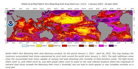 Largest Coral Bleaching Event On Record Impacts 84 Of Worlds Reefs Noaa