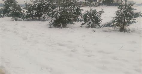 Winter Imgur
