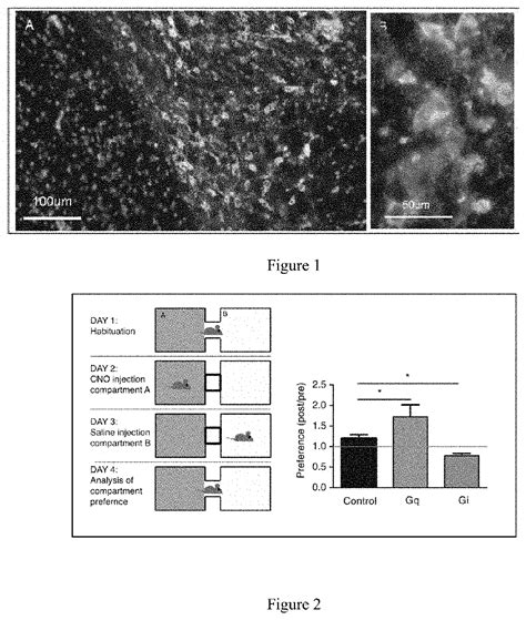 neuronal modulation eureka patsnap