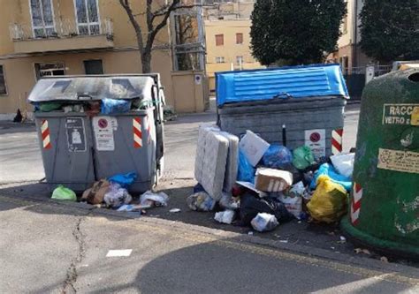 Modena Rifiuti In Strada Degrado Senza Fine Lettere Al Direttore