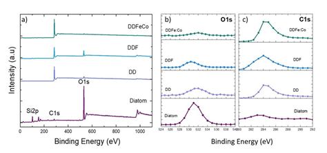 A X Ray Photoelectron Spectrum And High Resolution Scan Of B O1s Download Scientific