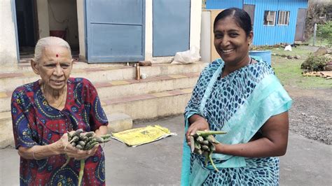 सांबर करण्यासाठी शेवग्याच्या शेंगा नव्हत्या लगेच झाडावरून काडल्या