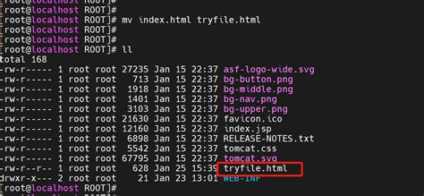 Nginx Troubleshoot Try files Nginx OSS 相关知识教程 文档 极客文档
