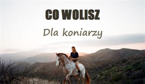 Co Wolisz Dla Koniarzy Samequizy