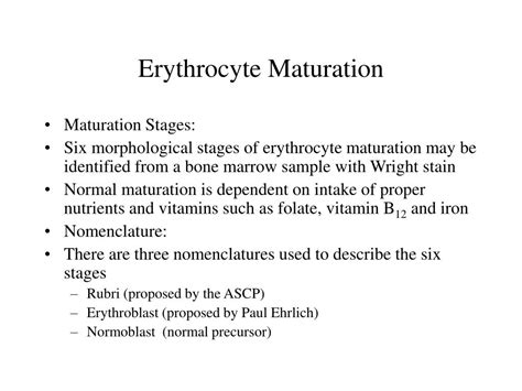 Ppt The Erythrocyte Powerpoint Presentation Free Download Id252156