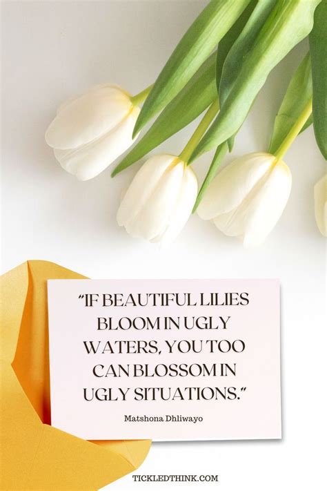 60 Quotes About Blooming Like A Flower To Inspire You Bloom Quotes