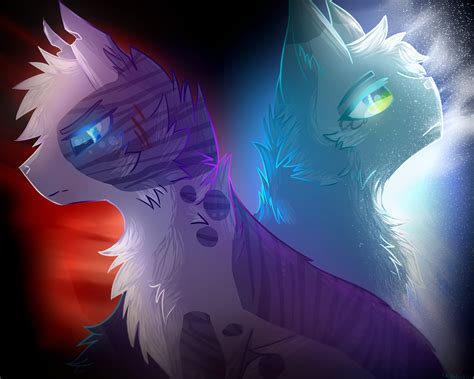 Dovewing And Ivypool By Frostedlleaf On Deviantart