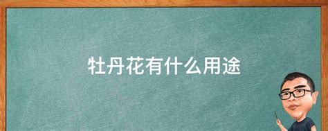 牡丹花有什么用途 业百科