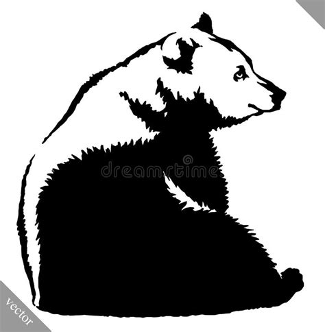Black And White Ink Draw Bear Vector Illustration Stock Vector
