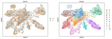 Integrating Multiple Datasets Stlearn Documentation