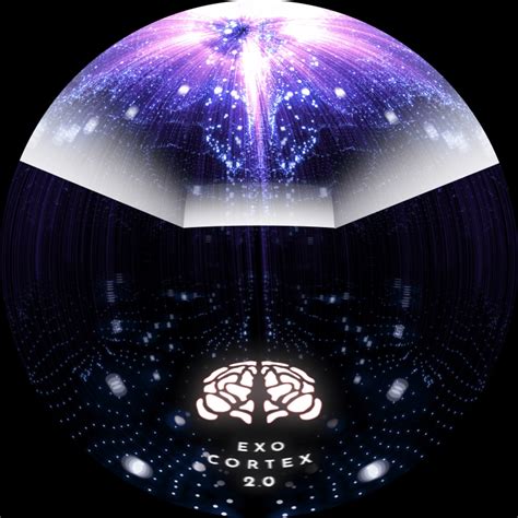 傑瑞米·歐里《exo Cortex 20》 臺灣當代文化實驗場