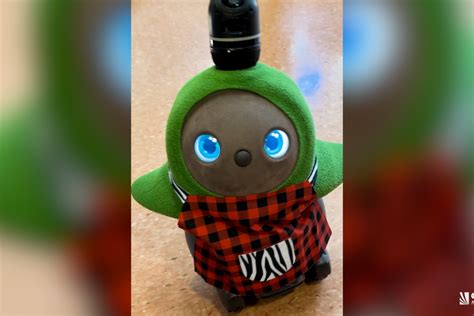 Love Robots Are Moving Into A Bc Seniors Home Heres Why North