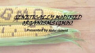 GENETICALLY MODIFIED ORGANISMS GMO S Pdf